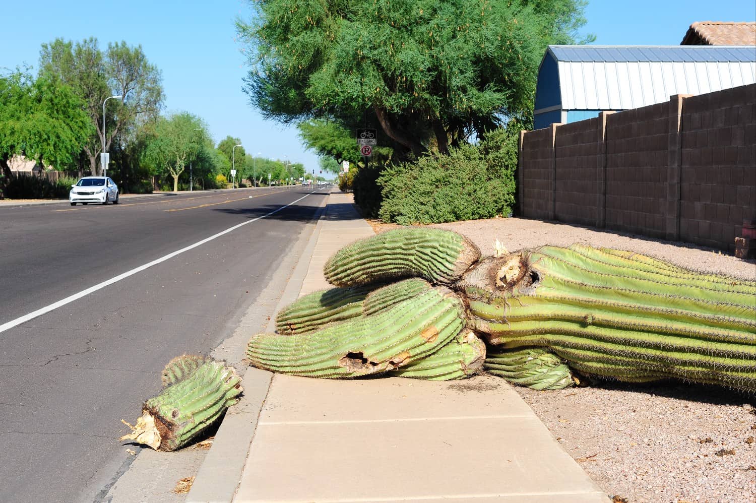 Weather heat wave scorches California, Nevada and Arizona - United ...